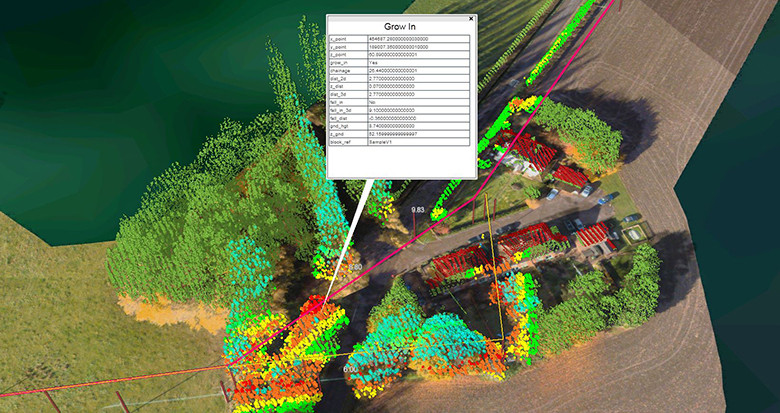 Utility Vegetation Management Services | NM Group